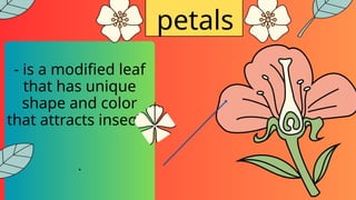 Reproductive Parts of Flowers for grade 5.pptx