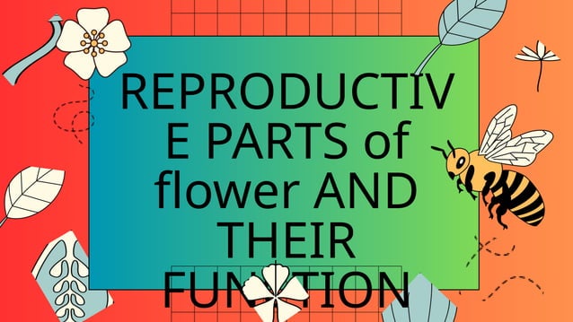 Reproductive Parts of Flowers for grade 5.pptx