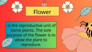 Reproductive Parts of Flowers for grade 5.pptx