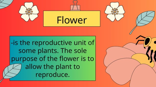 Reproductive Parts of Flowers for grade 5.pptx