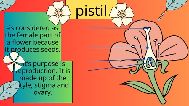 Reproductive Parts of Flowers for grade 5.pptx