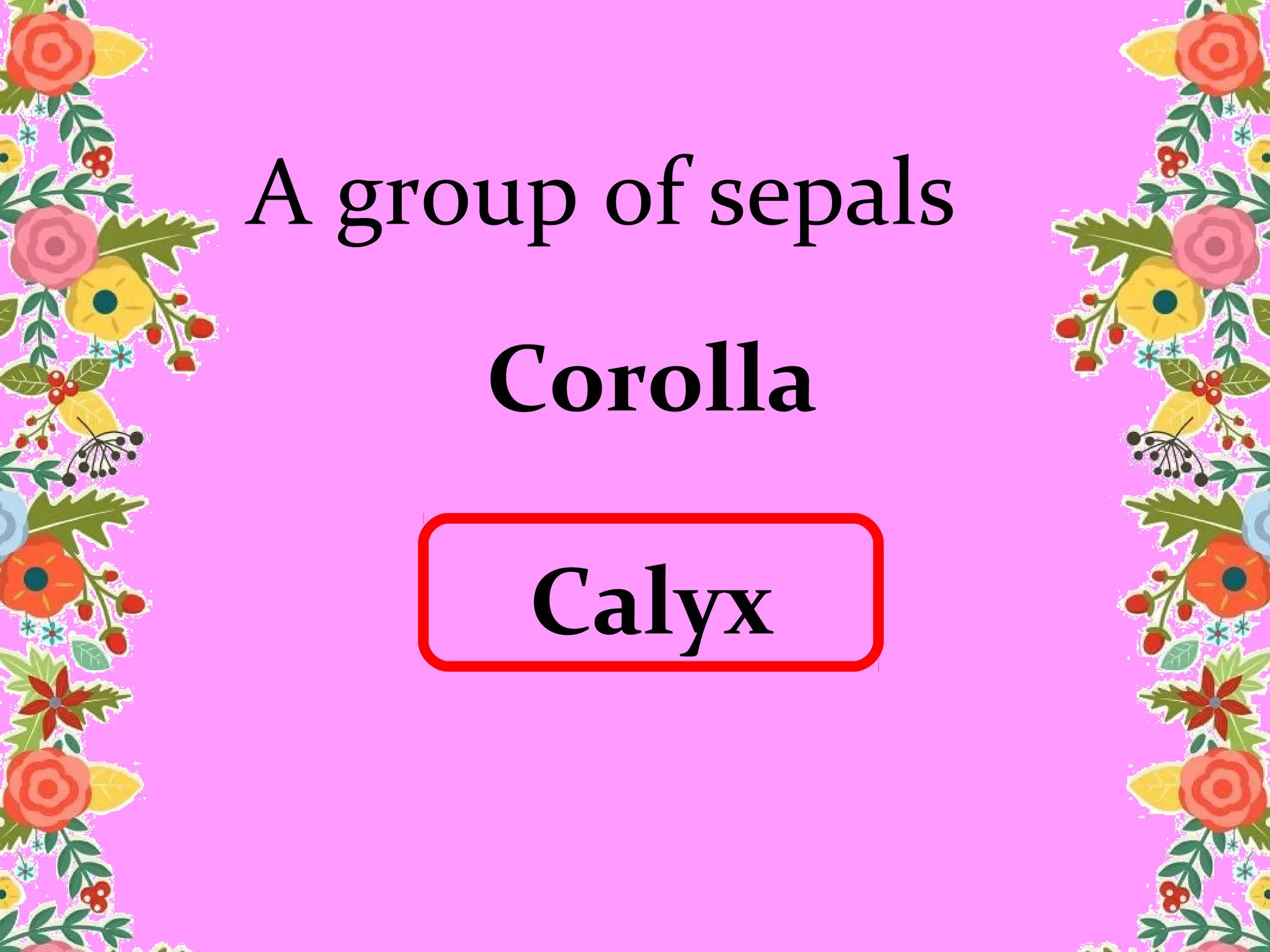 Reproductive parts of plants- J.Dael