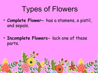 Reproductive parts of plants- J.Dael