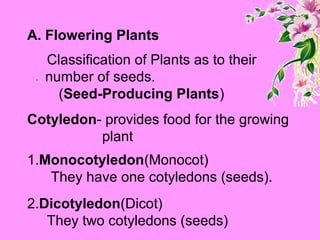 Reproductive parts of plants- J.Dael