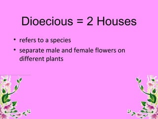 Reproductive parts of plants- J.Dael