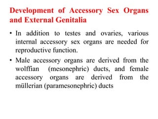 reproductive physio.pptx