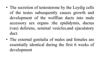 reproductive physio.pptx