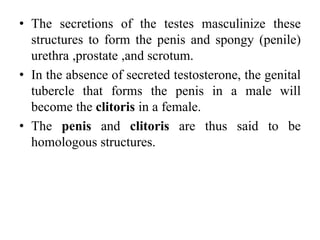 reproductive physio.pptx