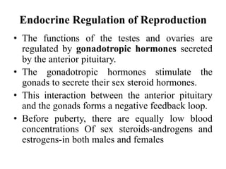 reproductive physio.pptx