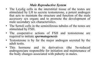 reproductive physio.pptx