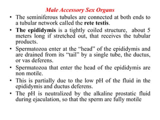 reproductive physio.pptx