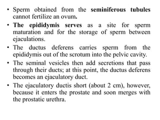 reproductive physio.pptx