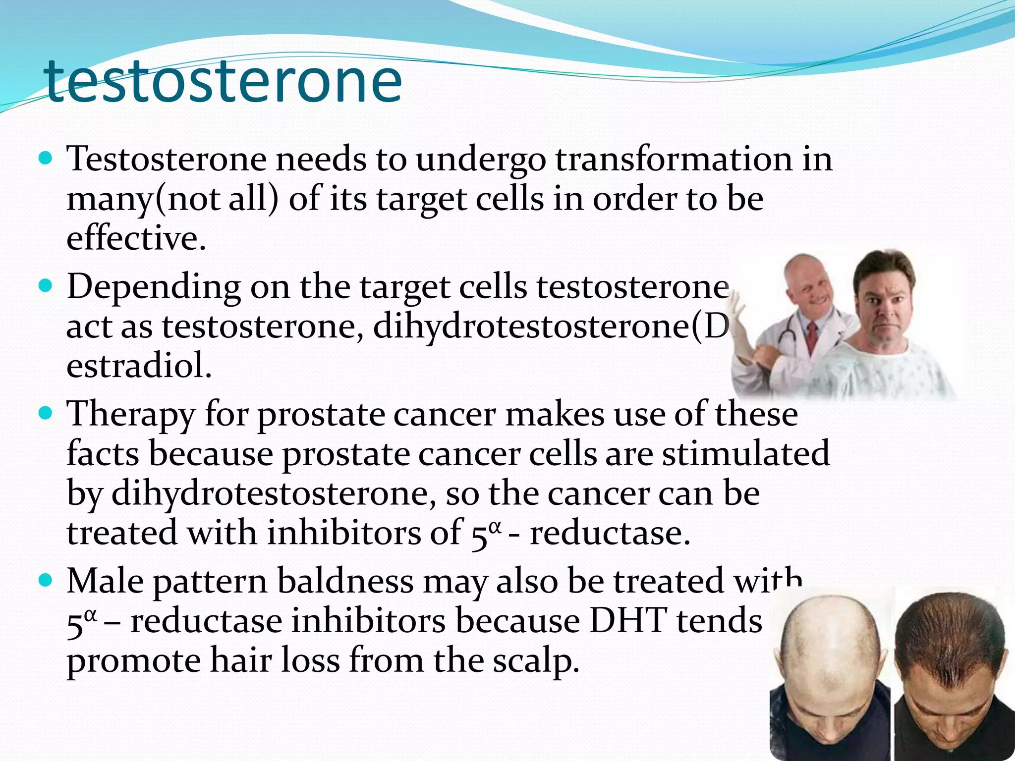 Reproductive physiology | PPTX