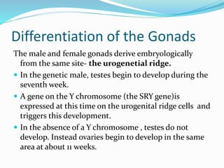 Reproductive physiology | PPTX