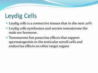 Reproductive physiology | PPTX