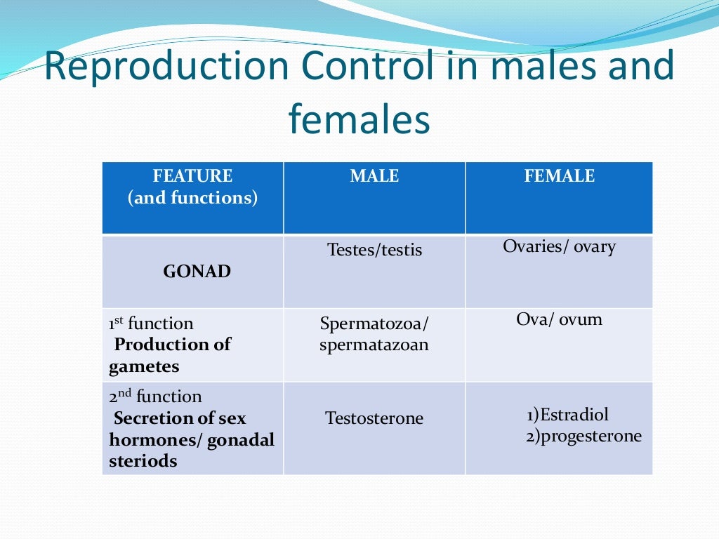 Reproductive physiology