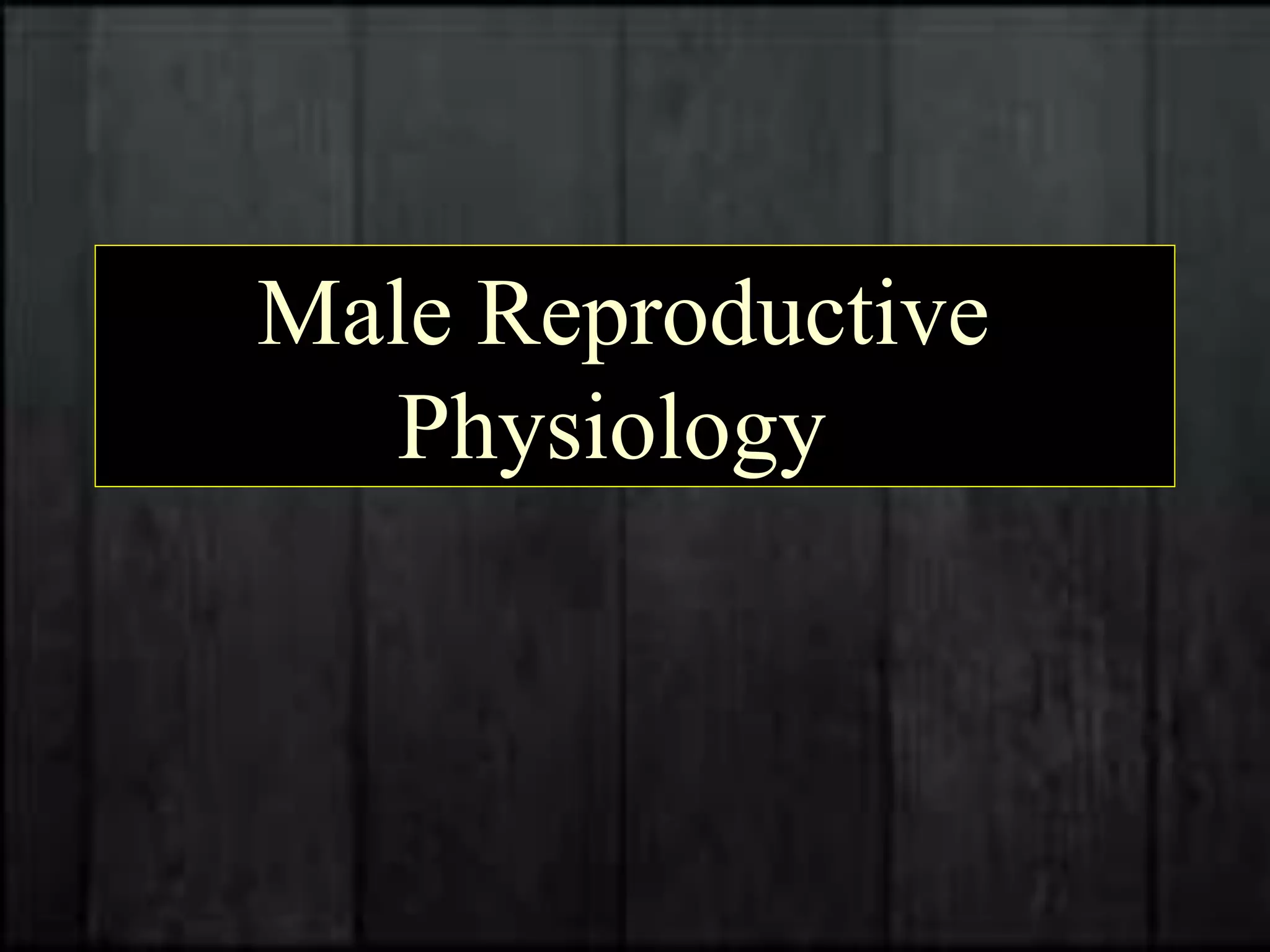 Reproductive Physiology.ppt