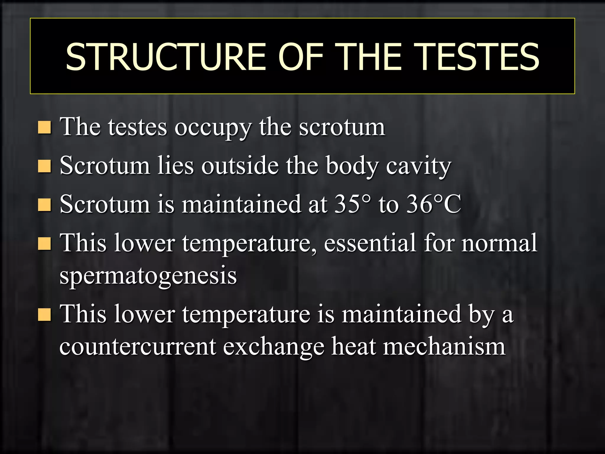 Reproductive Physiology.ppt