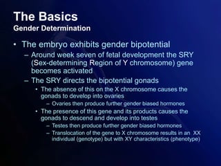 Reproductive Physiology.ppt