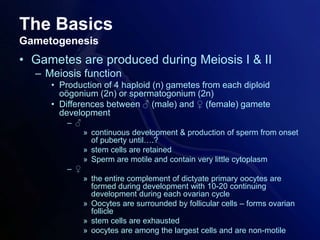 Reproductive Physiology.ppt