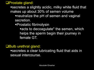 Reproductive physiology | PDF