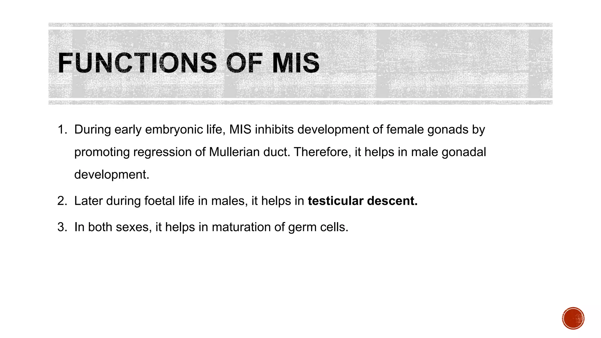 Sex Differentiation And Development Pptx