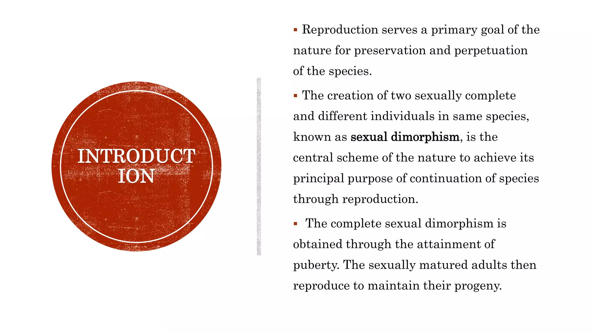 Sex Differentiation And Development Pptx