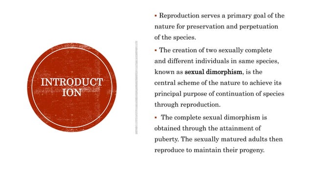 Sex Differentiation And Development Pptx Reproductive Health Diseases And Conditions