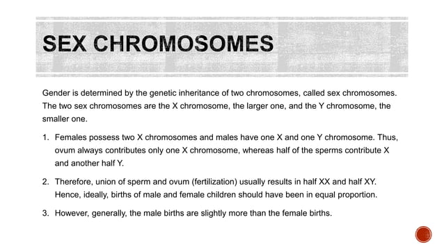 Sex Differentiation And Development Pptx Reproductive Health Diseases And Conditions