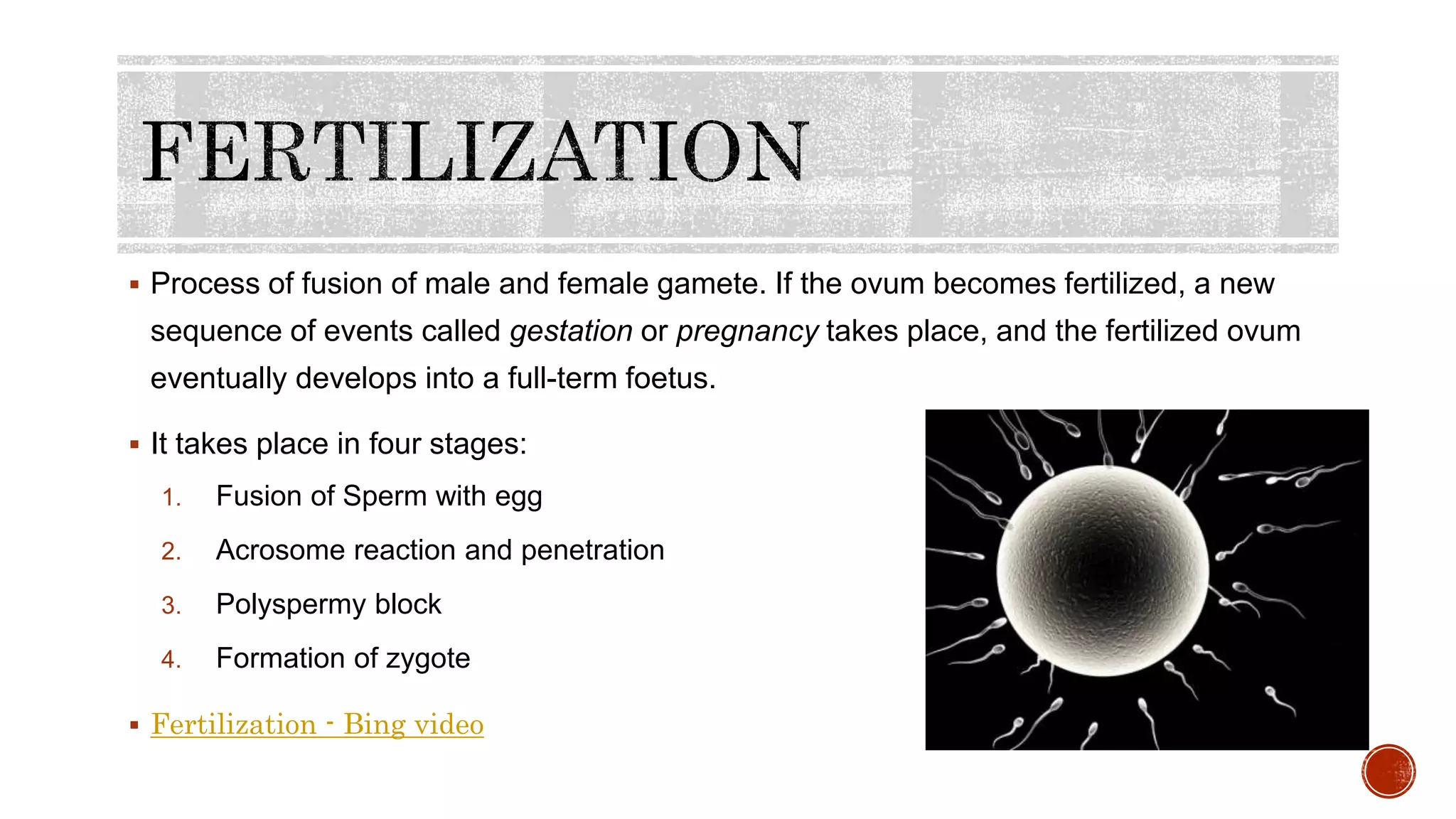 Physiology of Pregnancy and Parturition | PPTX