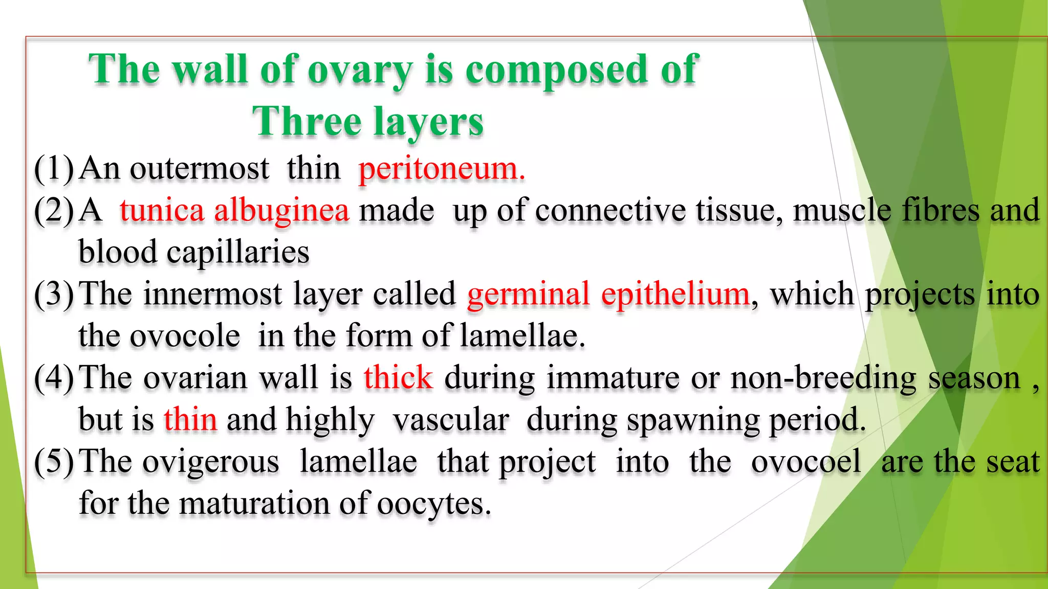 Reproductive physiology and morphology | PPTX
