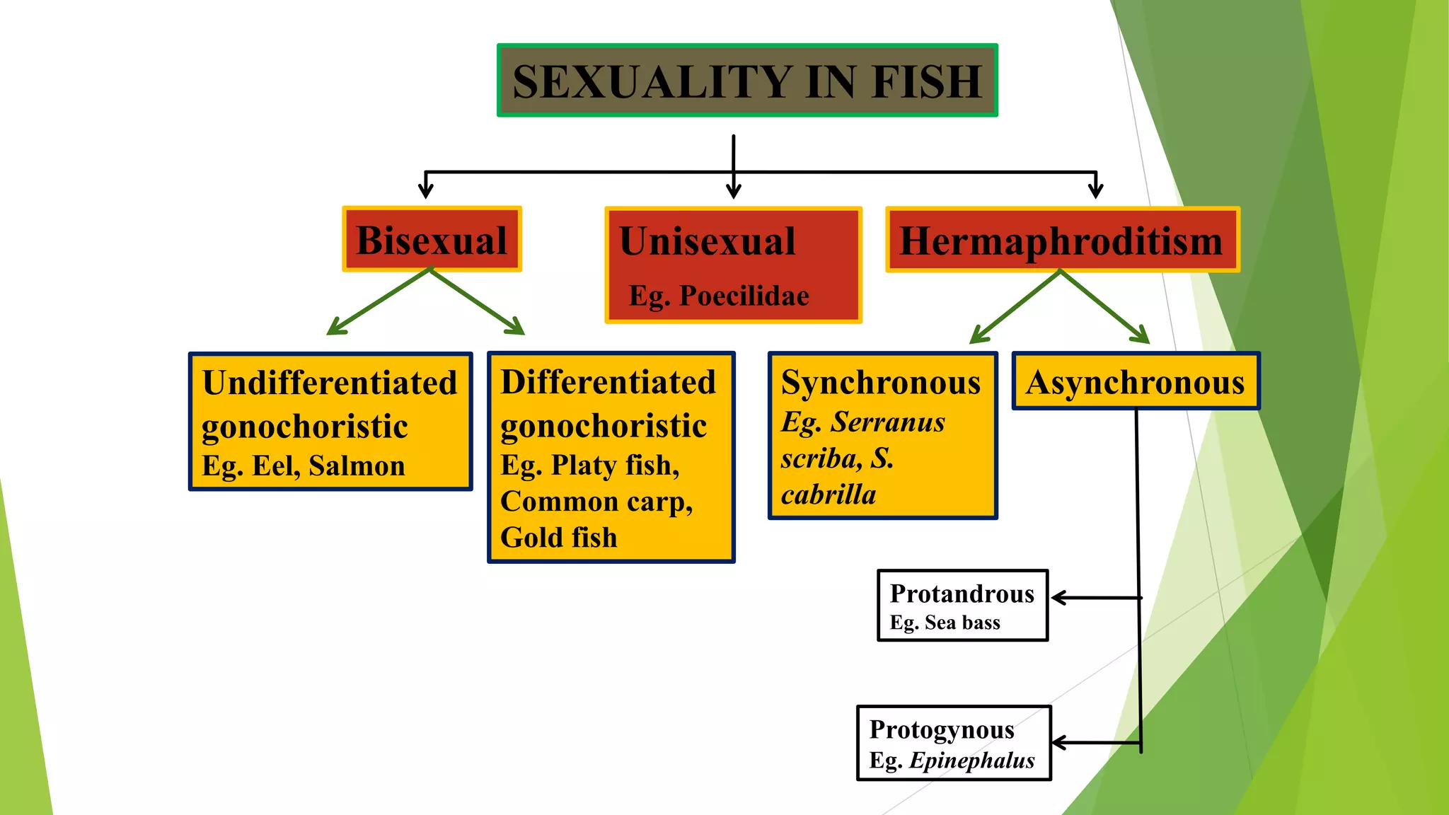 Reproductive physiology and morphology | PPTX