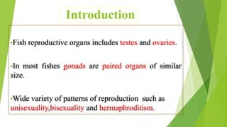 Reproductive physiology and morphology | PPTX