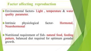 Reproductive physiology and morphology | PPTX