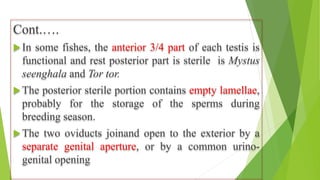 Reproductive physiology and morphology | PPTX