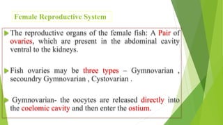 Reproductive physiology and morphology | PPTX