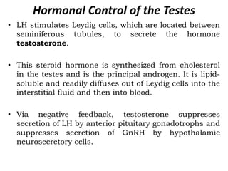 Reproductive physiology of male and female | PPTX