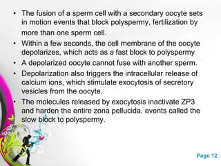 Reproductive physiology of pregnancy | PPT