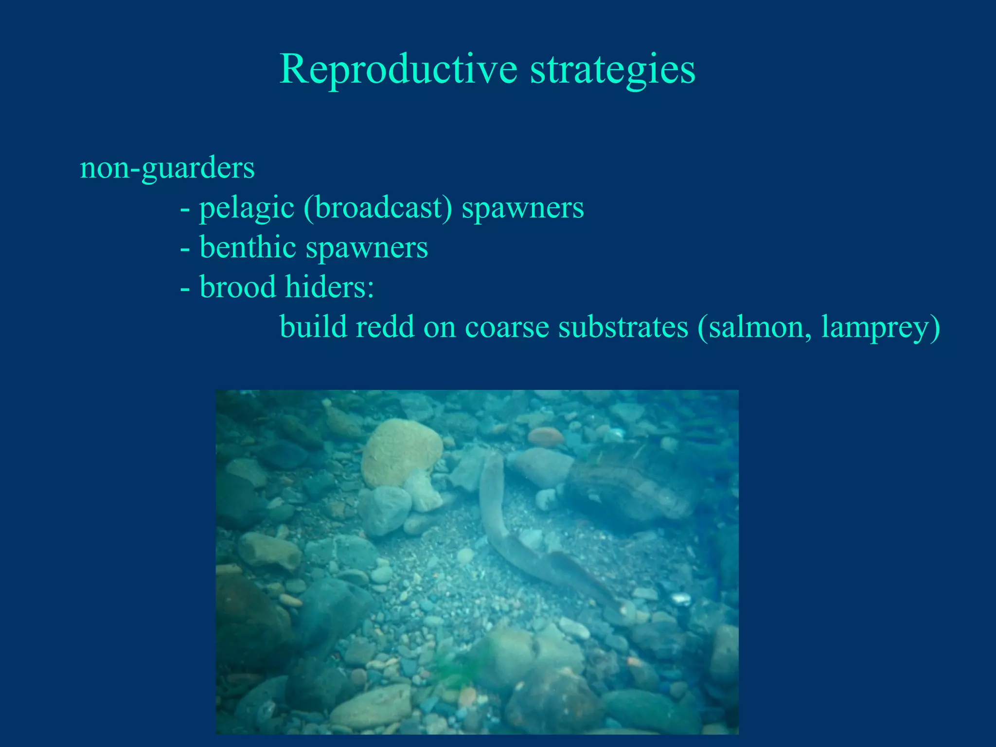 Reproductive strategies in fishes | PPT