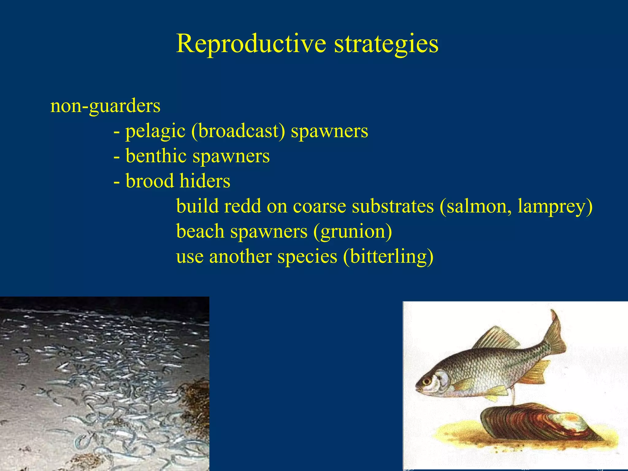 Reproductive strategies in fishes | PPT