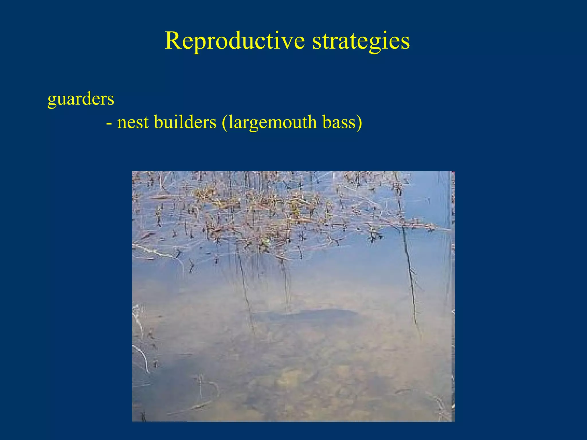Reproductive strategies in fishes | PPT