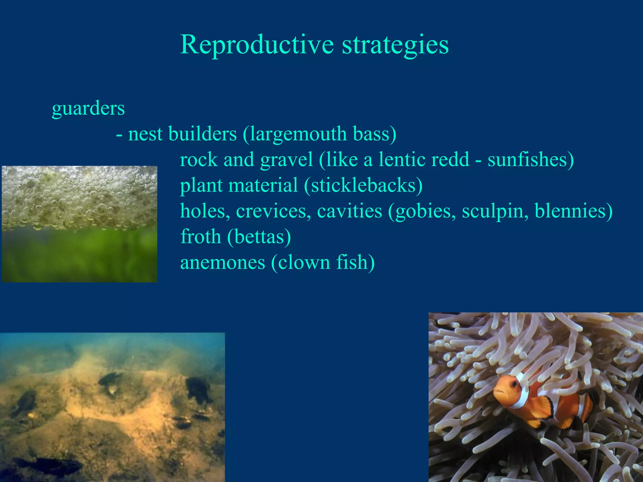 Reproductive strategies in fishes | PPT