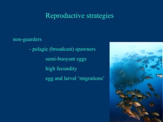 Reproductive strategies in fishes | PPT