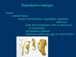 Reproductive strategies in fishes | PPT
