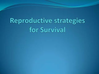 Reproductive strategies (bd) | PPTX
