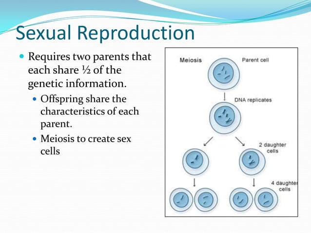 Reproductive strategies (bd) | PPTX | Infertility | Reproductive Health