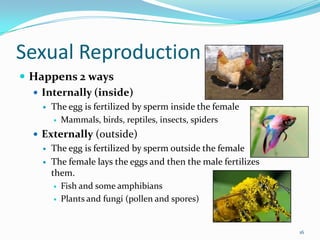 Reproductive strategies (bd) | PPTX