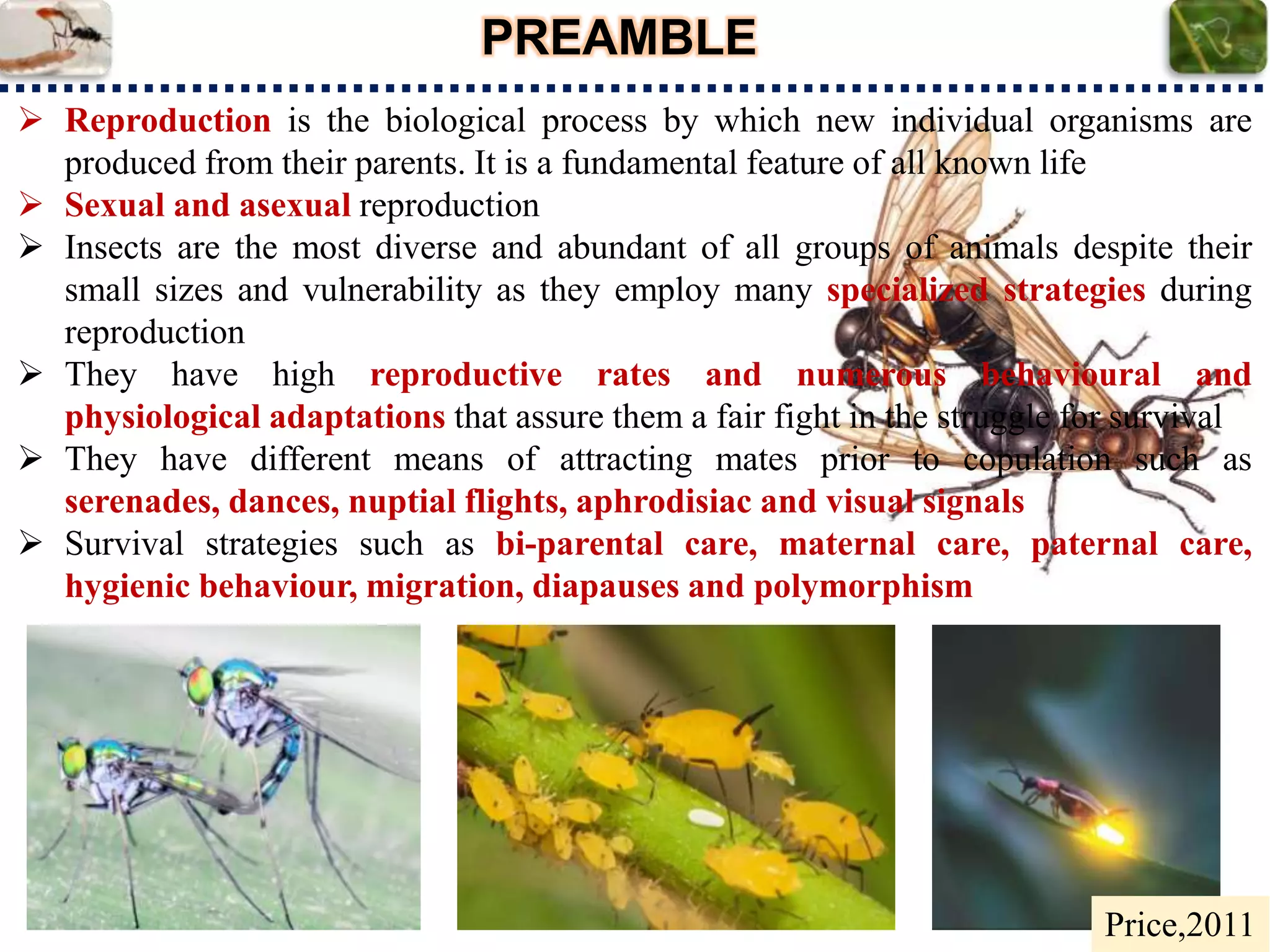 Reproductive Strategies_S.Srinivasnaik_RAD21-25.ppt