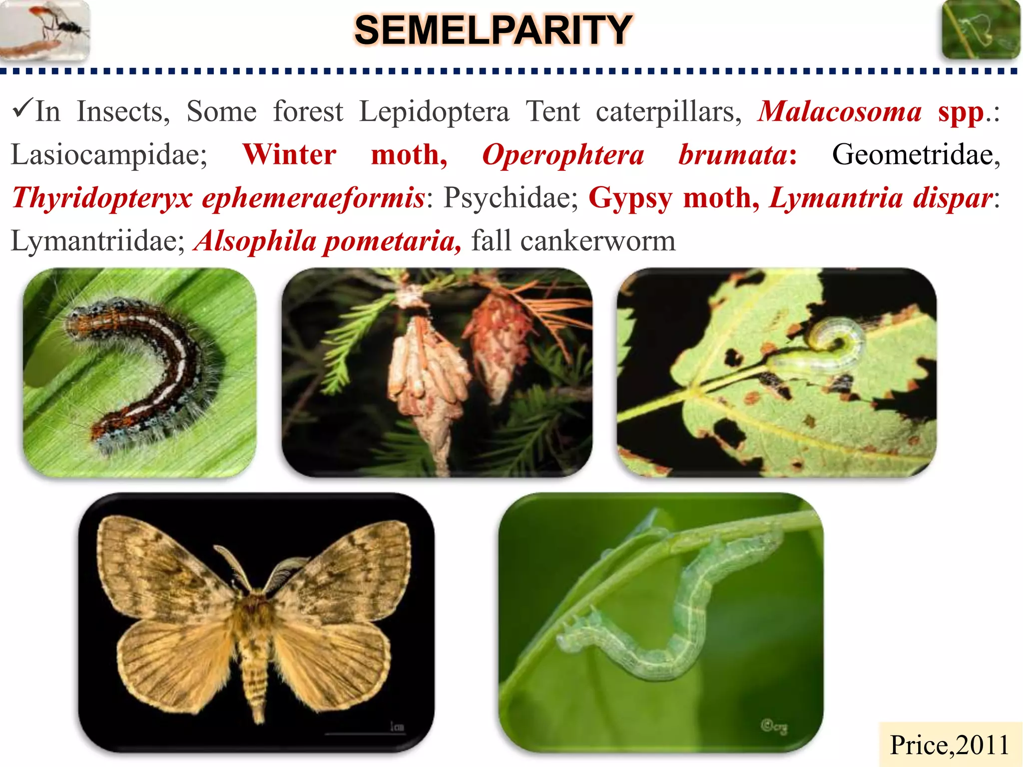 Reproductive Strategies_S.Srinivasnaik_RAD21-25.ppt