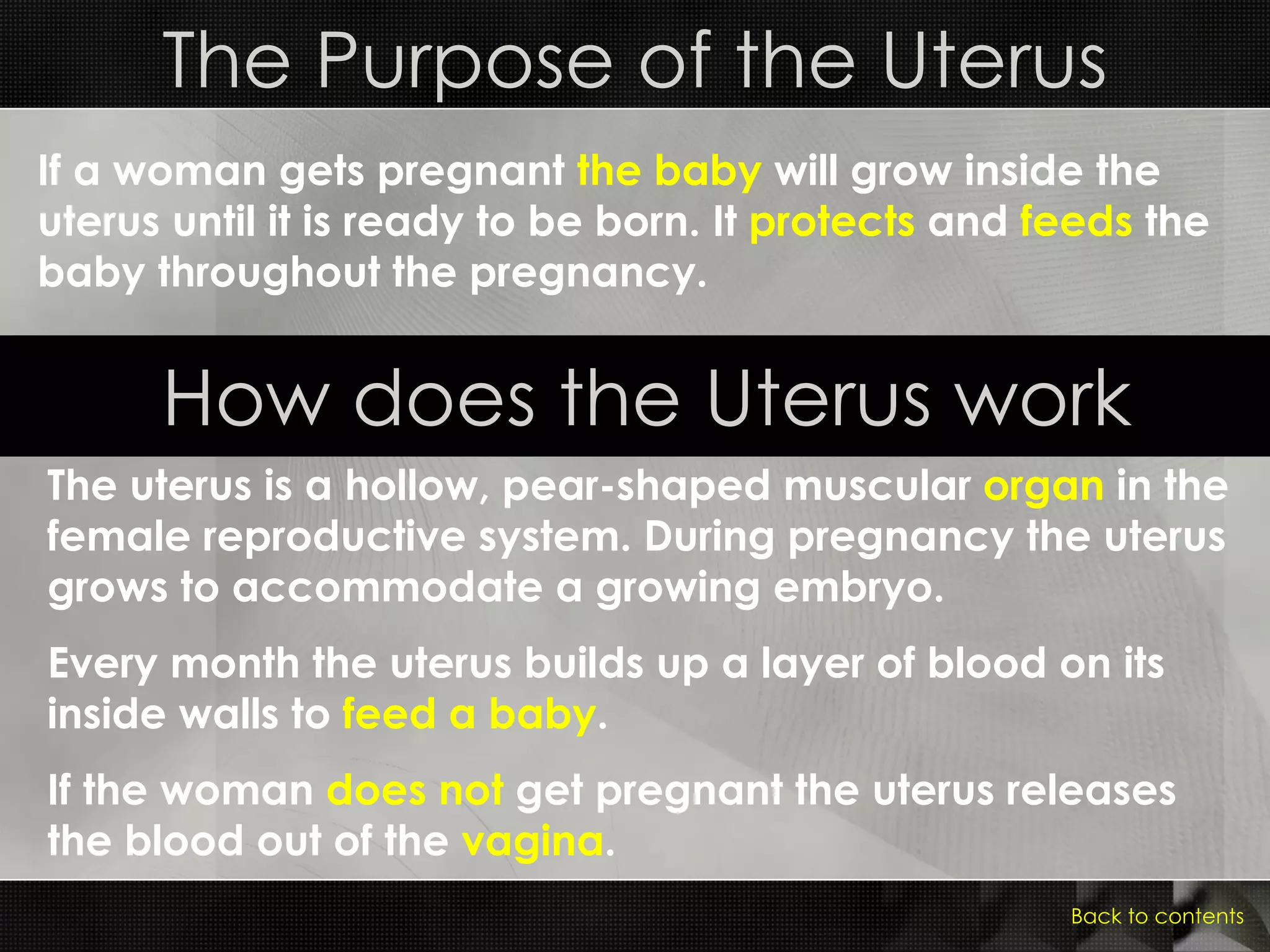The Reproductive System | PPT